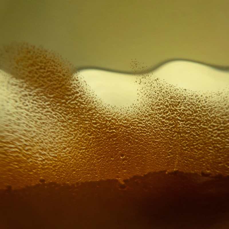 Amber Fragrance Notes Abel